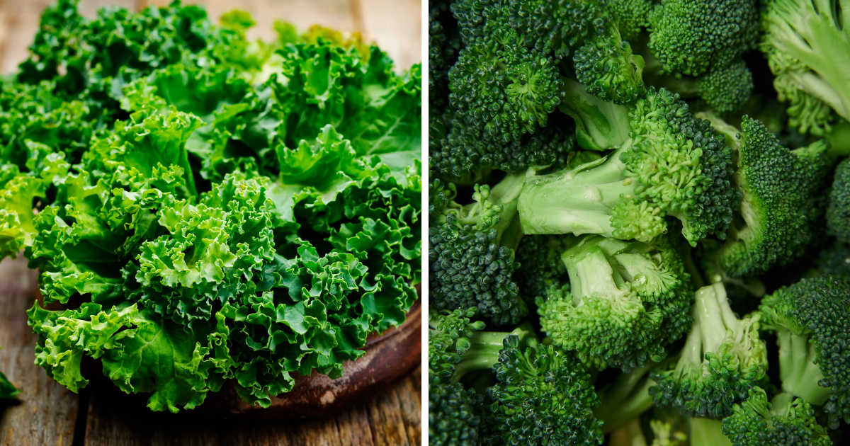 Ako volite povrće, ovih 7/7 zelenih vrsta ćete znati | Joomboos.24sata.hr